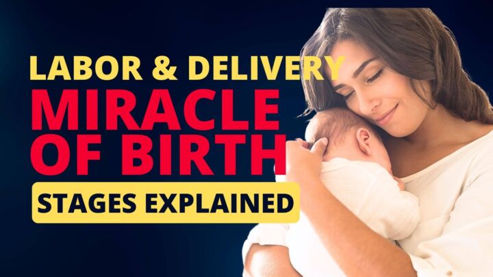 The Miracle Of Birth: The Stages Of Labor And Delivery